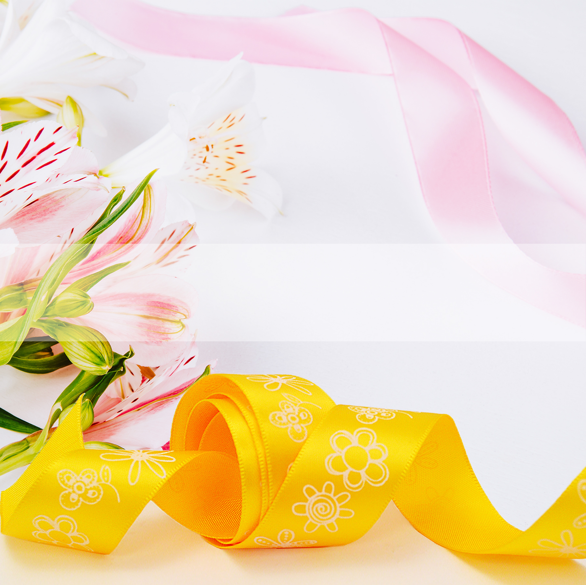 EVERYDAY RIBBON – Hubschercorp STOCK